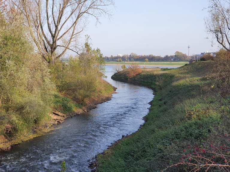 Die Mündung der Erft in Neuss-Grimlinghausen - Itinéraires de rando et ...