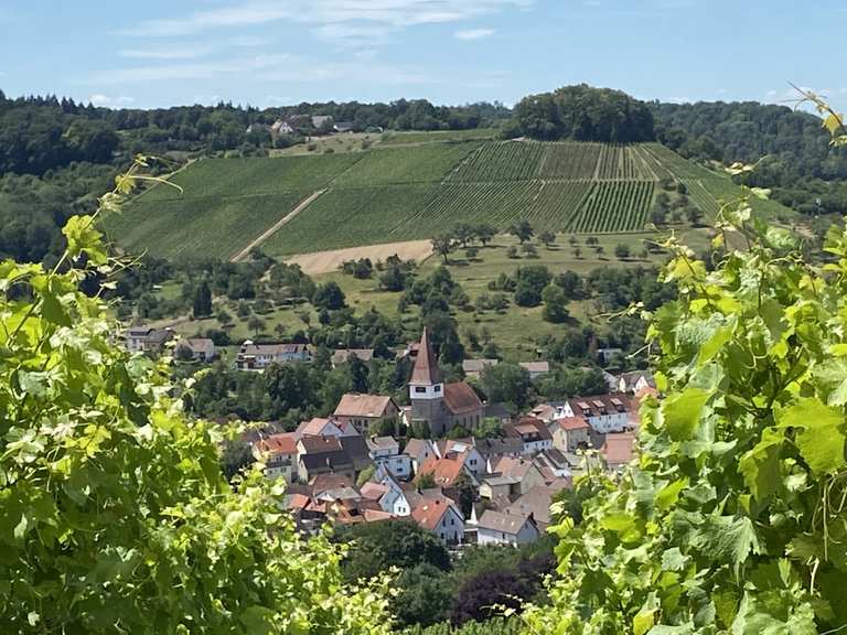 Weinstube Lederer (Zum Fäßle) – Oberheimbach Runde von Unterheimbach ...