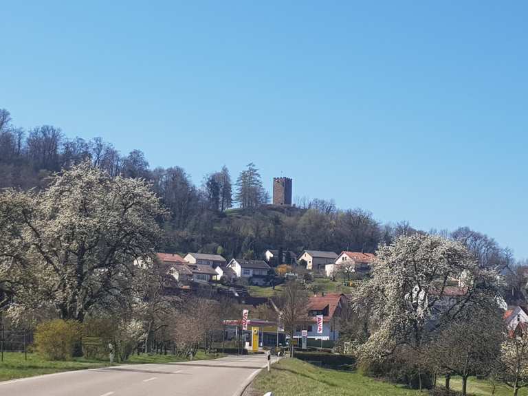 Blick auf "Schlossbergturm Sternenfels": Rennradfahren und ...