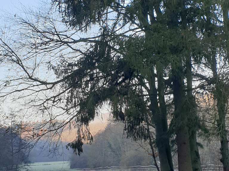 Schloss Langenhain Ziegenberg Routes for Walking and Hiking | Komoot