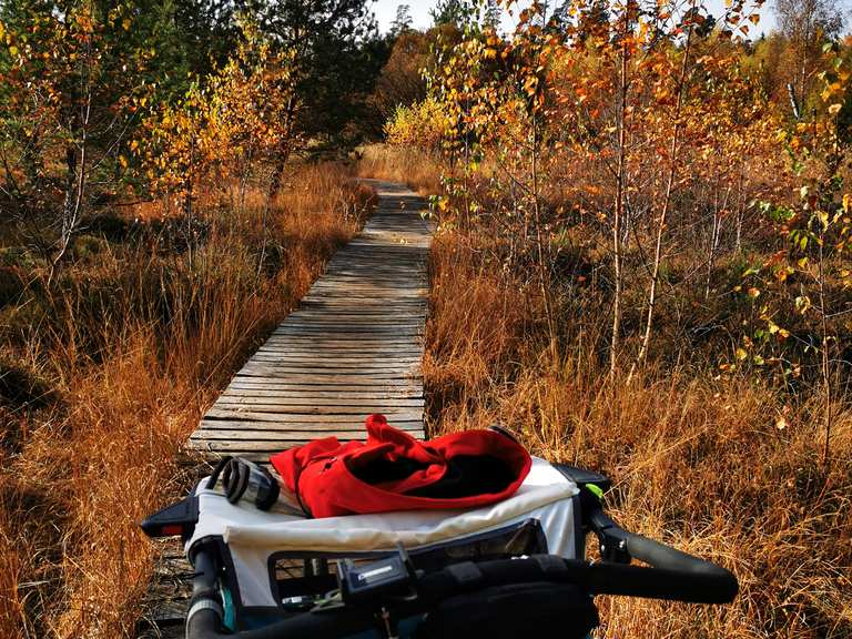 Moor and moore: Wanderungen und Rundwege | komoot