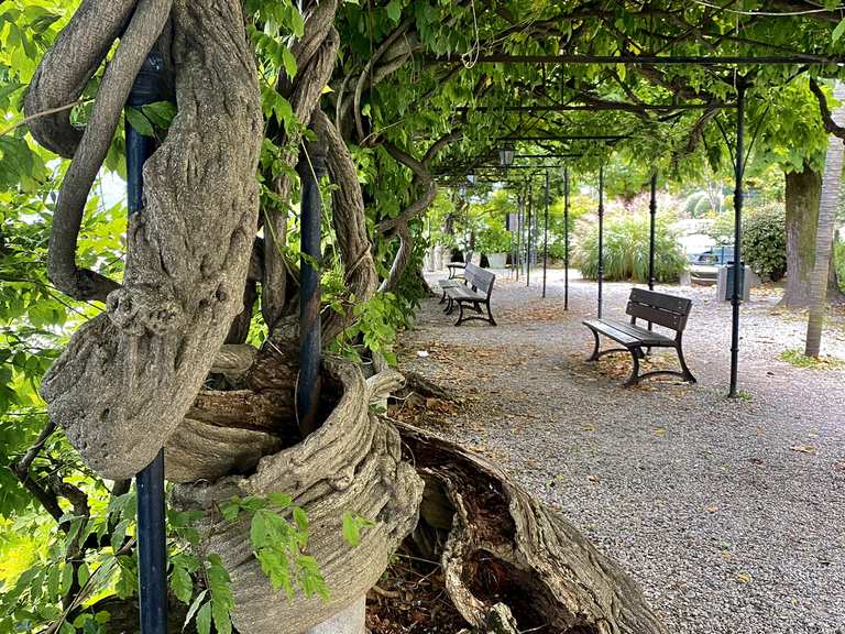 Parco Civico Teresio Olivelli Routes for Walking and Hiking | Komoot
