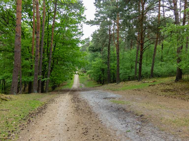 Schöne Landschaft : Radtouren und Radwege | komoot