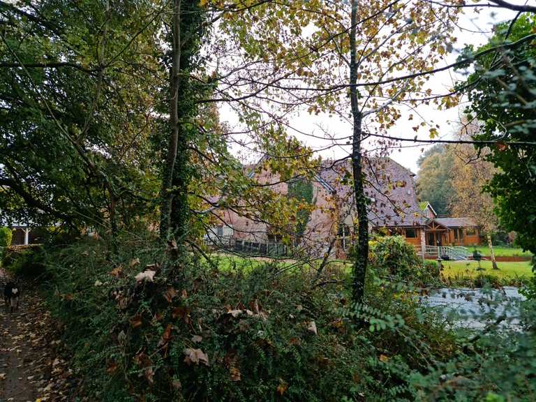 Hockley Mill: Wanderungen und Rundwege | komoot