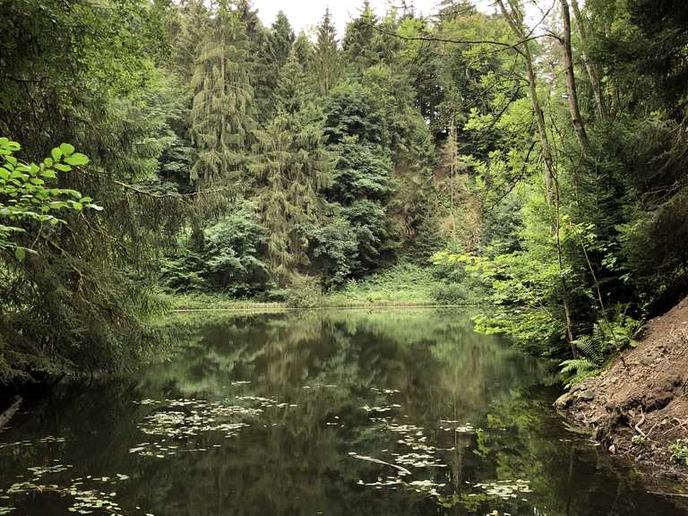 Der Rote See ( Eingang ): Mountainbike-Touren und -Trails | komoot