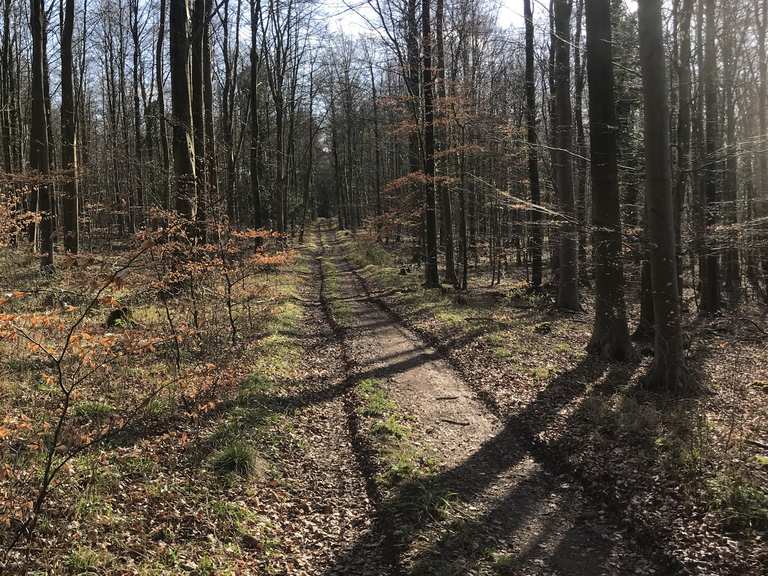 Whiteways Café and Mountain Bike Trails - Mountain Bike Trails & Tracks ...