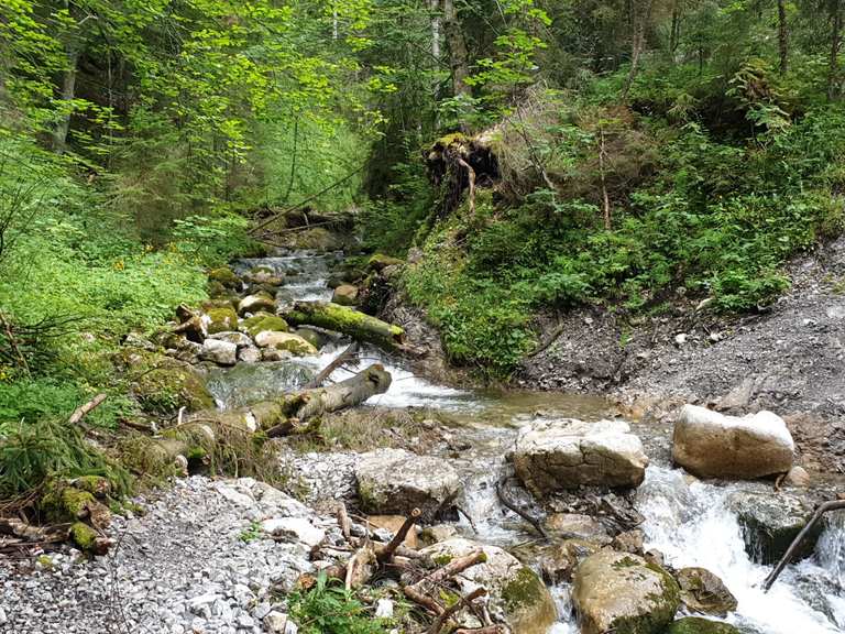Soinsee – Tolle Aussicht Runde von Geitau | Wanderung | Komoot