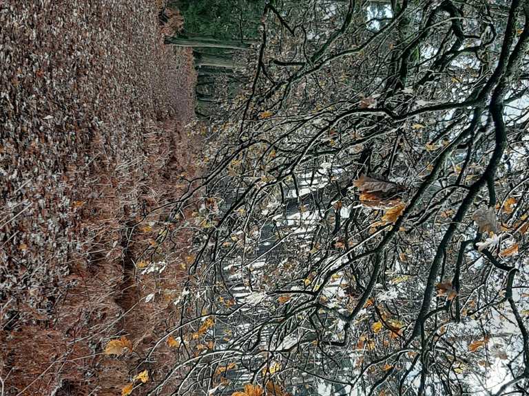 Droge heide - herstelgebied wandelroutes en hikes | Komoot