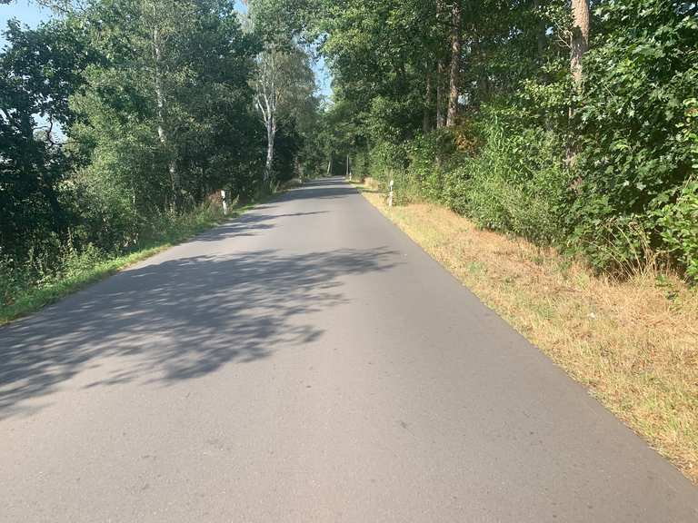 Super Radweg durch den Wald – Schnelle Strecke Runde von Hannover Karl ...