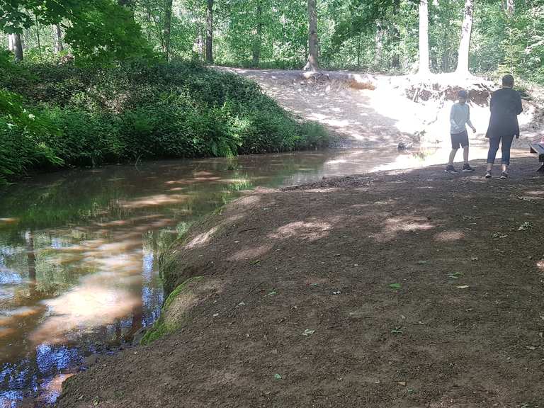 Boomstam brug wandelroutes en hikes | Komoot