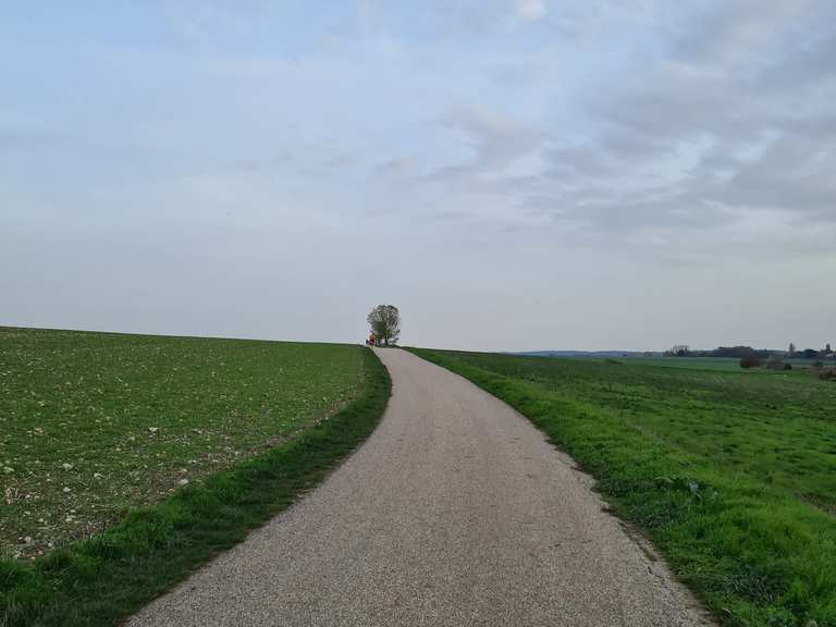 Allée royale de Villepreux - Itinéraires vélo et carte | Komoot