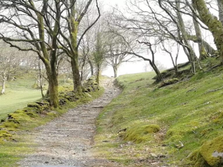 Sarn Helen Roman road Mountain Bike Trails & Tracks | Komoot