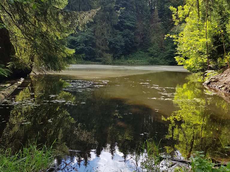 Der Rote See ( Eingang ): Mountainbike-Touren und -Trails | komoot