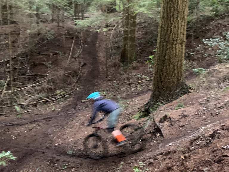 Fun trail section - Mountain Bike Trails & Tracks | Komoot