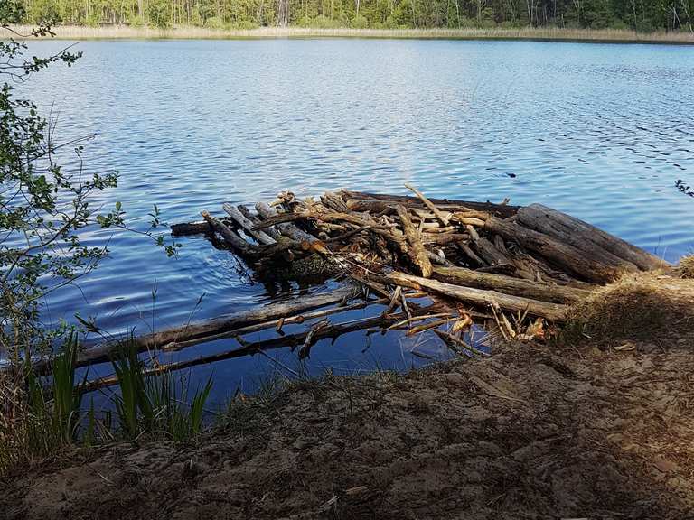 Frauensee: Wanderungen und Rundwege | komoot