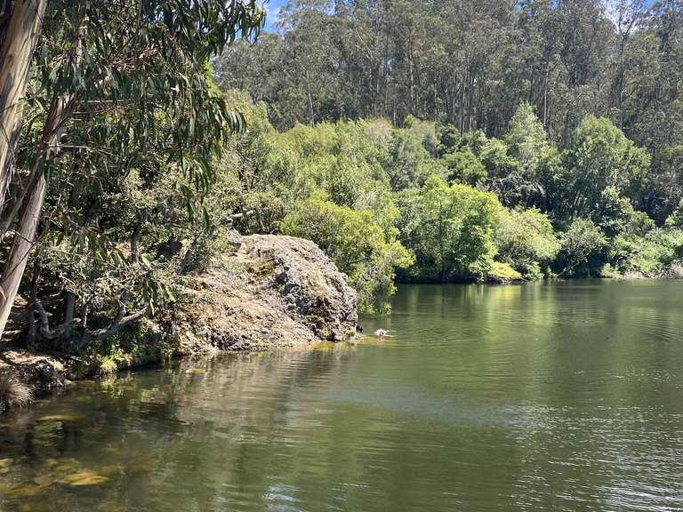 Claremont Canyon Schleife nach Lake Anza - Tilden Regional Park ...