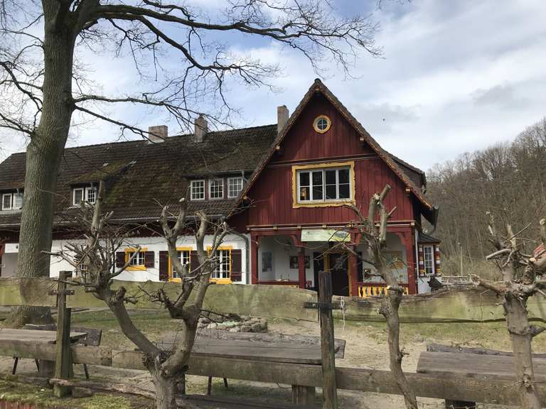 Drei Eichen: Wanderungen und Rundwege | komoot