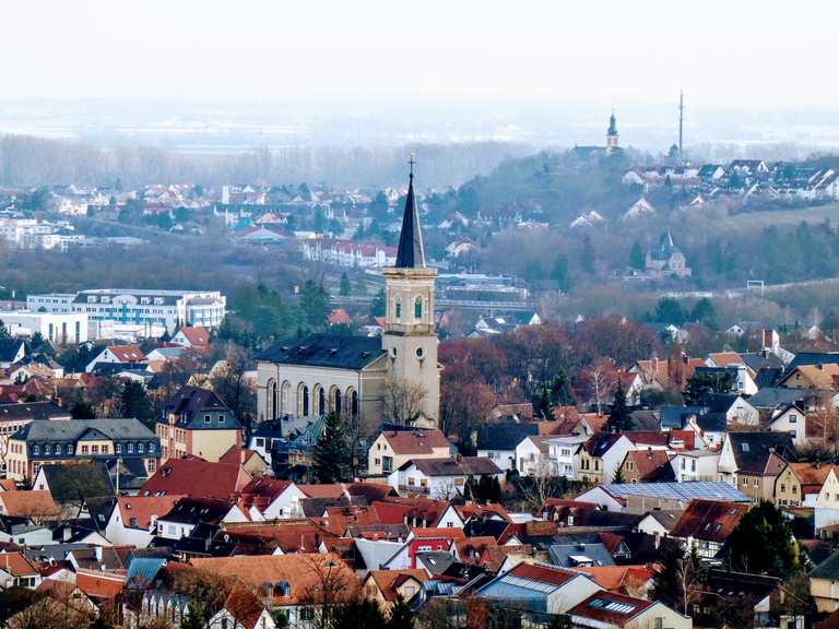 Bodenheimer Hoch Routes for Walking and Hiking | Komoot