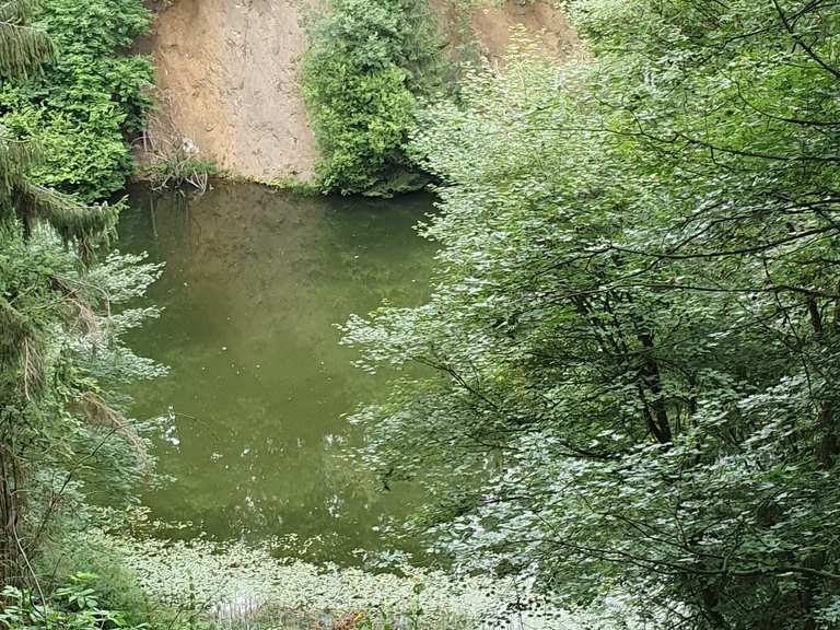 Der Rote See ( Eingang ): Mountainbike-Touren und -Trails | komoot