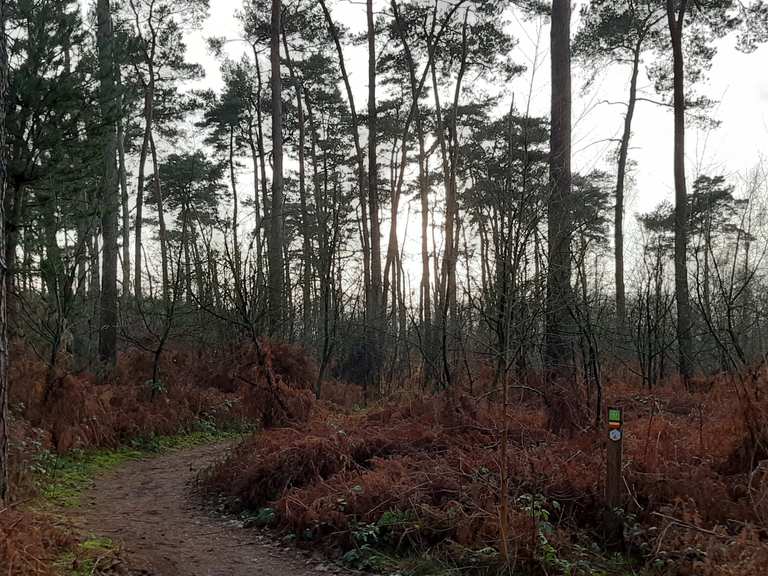 Droge heide - herstelgebied wandelroutes en hikes | Komoot