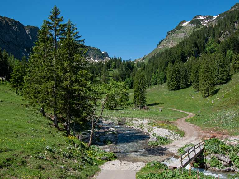 Alpgebiet Haldenwanger Eck: Mountainbike-Touren | komoot