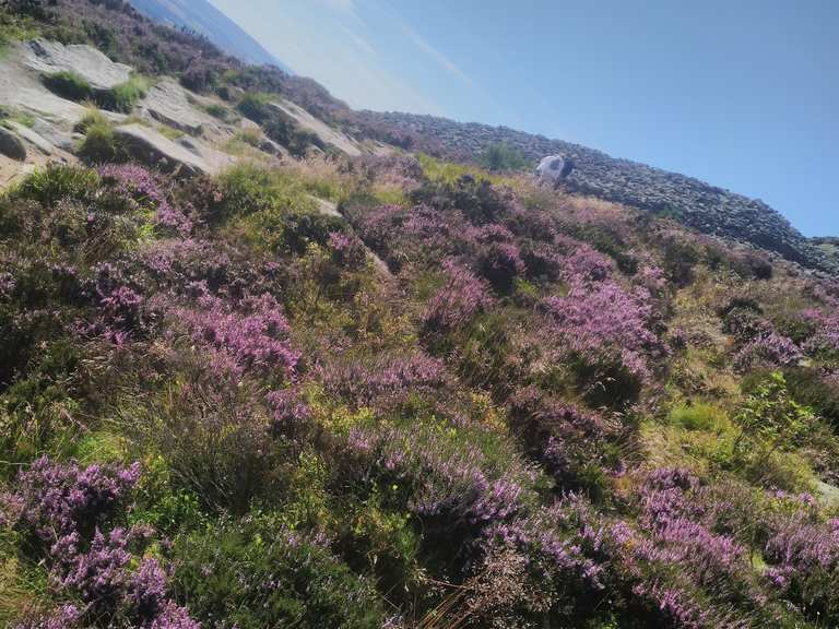 Mither Tap: Wanderungen und Rundwege | komoot