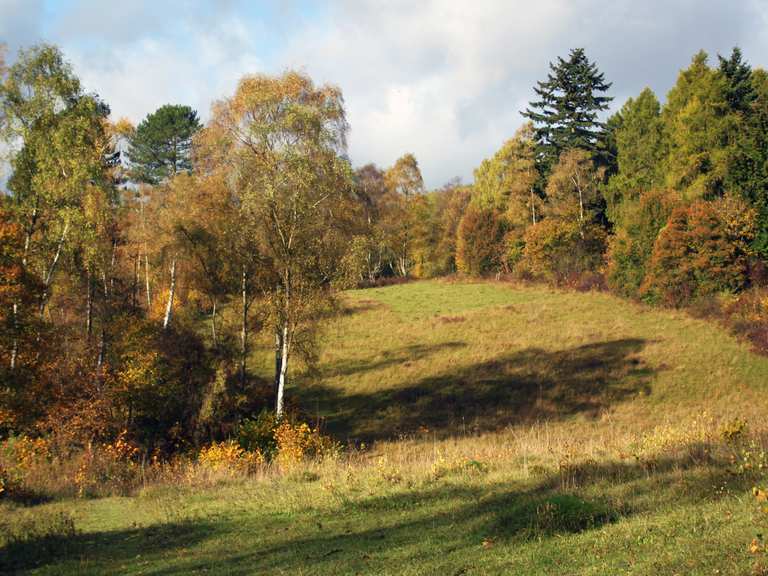 Warburg Nature Reserve and Berrick Trench loop from Nettlebed ...