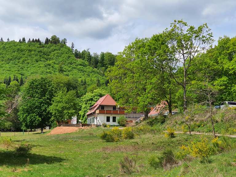 Forsthaus Annweiler/Schwarzer Fuchs Routes for Walking and Hiking | Komoot