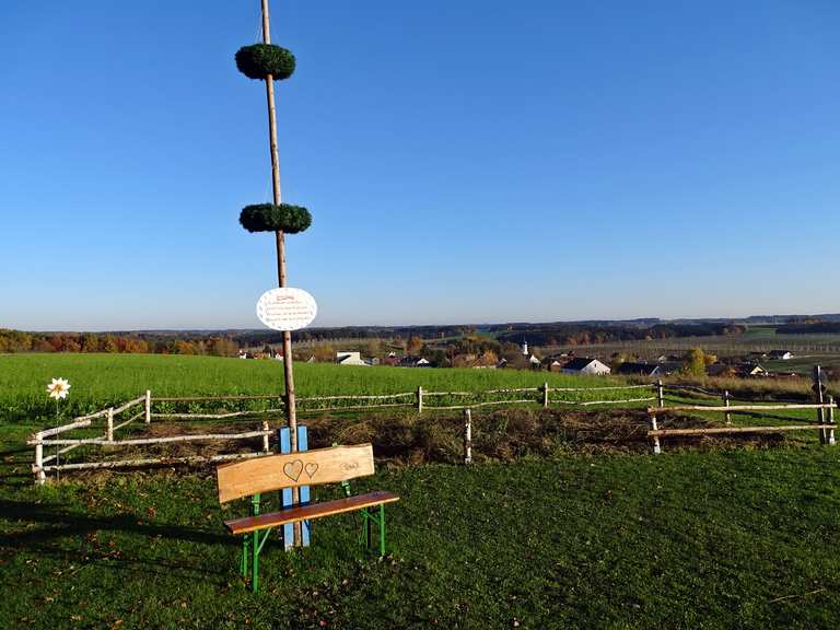 Höchster Punkt der Hallertau auf 534 m: Wanderungen und Rundwege | komoot