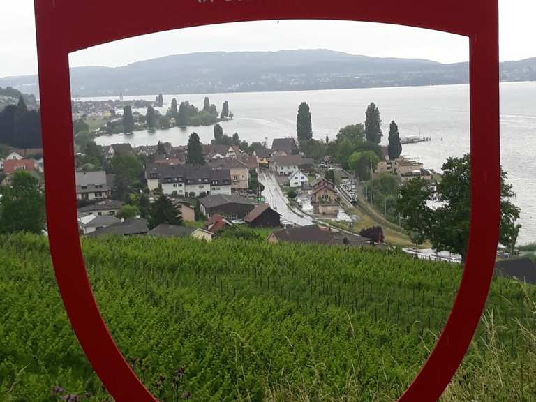 Arenenberg Castle - Mountain Bike Trails & Tracks | Komoot