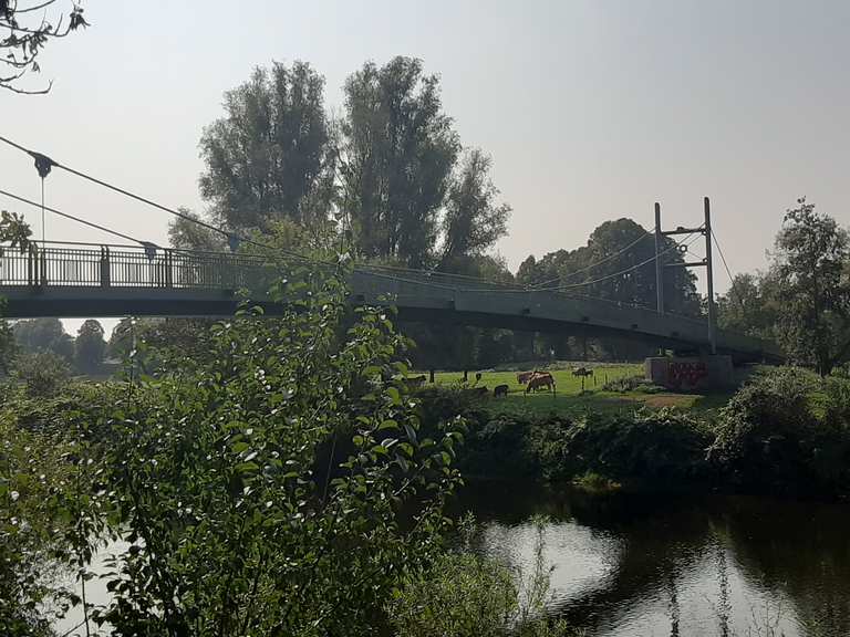 Hängebrücke über die Sieg : Radtouren und Radwege | komoot