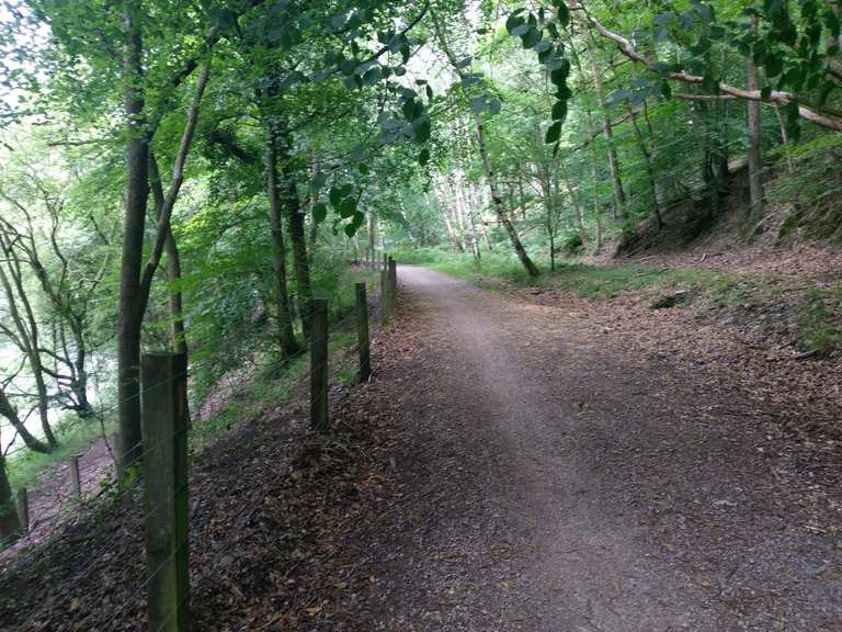 Colliers Trail, Forest of Dean - Cycle Routes and Map | Komoot