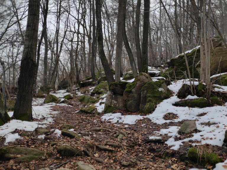 Monte Musine : percorsi escursionistici e trekking | Komoot