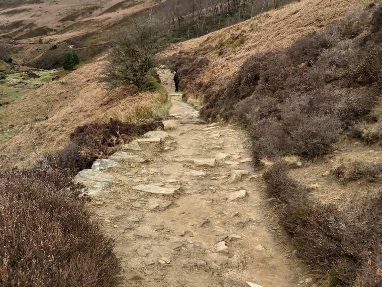 Pym Chair Routes for Walking and Hiking | Komoot