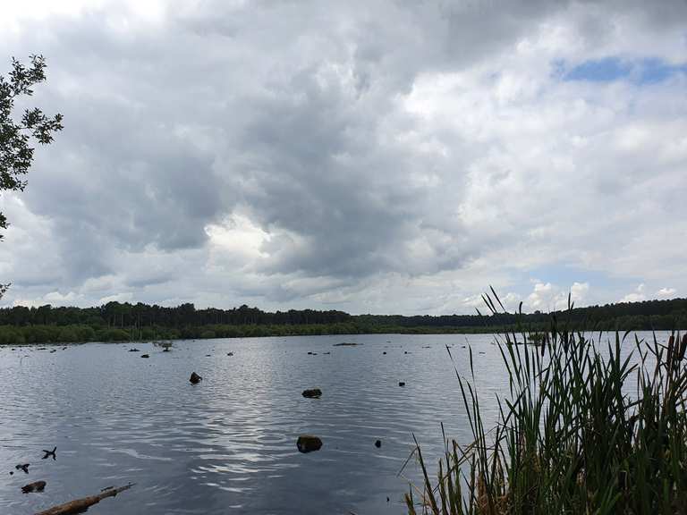 Blakemere Moss – Top of Old Pale Hill loop from Helsby | mountain bike ...