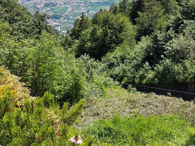 Mendelpass - Passo della Mendola: Wanderungen und Rundwege | komoot