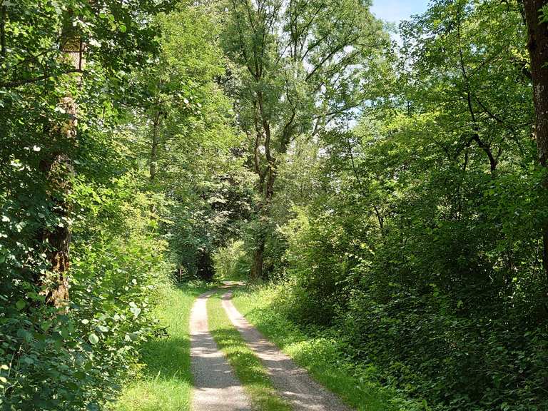 Wertach-Auen Radweg Pforzen Cycle Routes and Map | Komoot