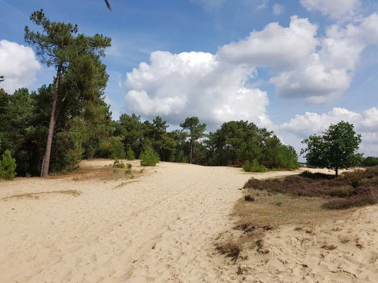 Natuurreservaat Grote Vlakte – Over de zandduinen Rondje vanuit ...