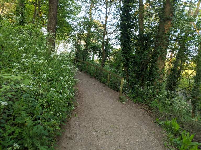 Willsbridge Valley Nature Reserve trails: Radtouren und Radwege | komoot