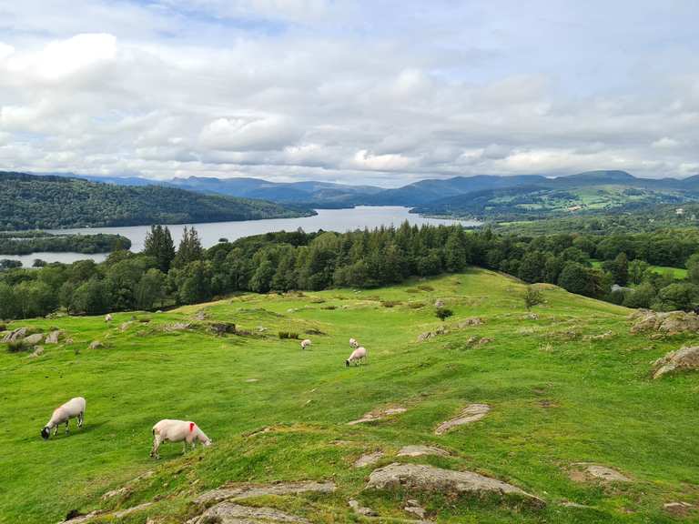 View of Lake Windermere from Brant Fell Routes for Walking and Hiking ...