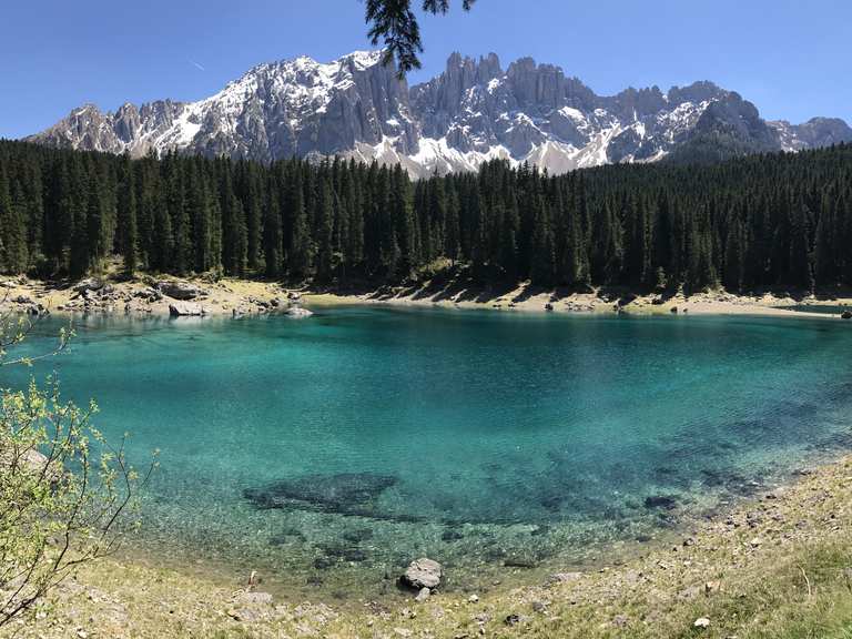 Latemar Circuit - Ringtour | Mountainbike-Tour | Komoot