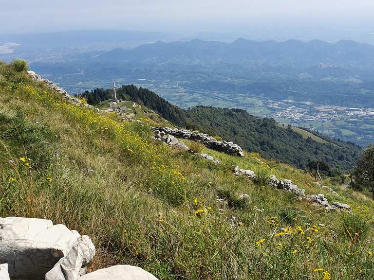 Monte Palon: Wanderungen und Rundwege | komoot