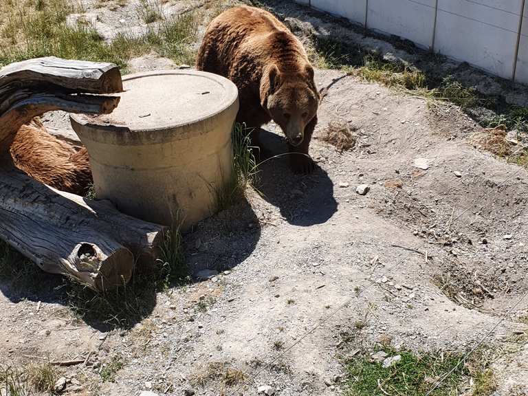 Wild- und Freizeitpark Gackenbach: Wanderungen und Rundwege | komoot