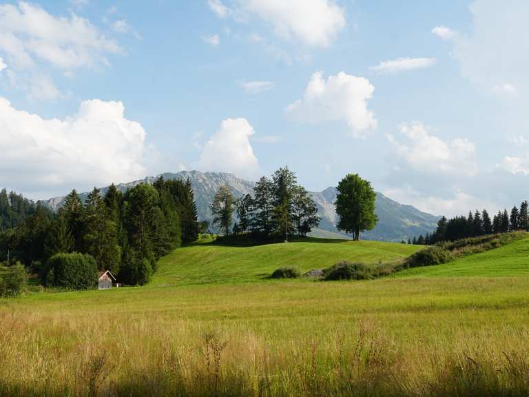 Schönes Panorama – Panoramabank Runde von Unterjoch | Wanderung | Komoot