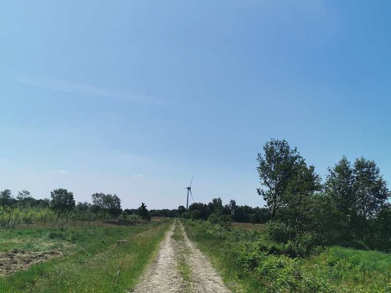 Auf dem Sandweg: Wanderungen und Rundwege | komoot