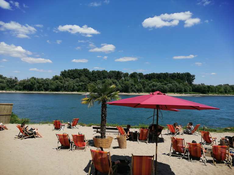 Rheinstrand Speyer - Strandbar: Wanderungen und Rundwege | komoot