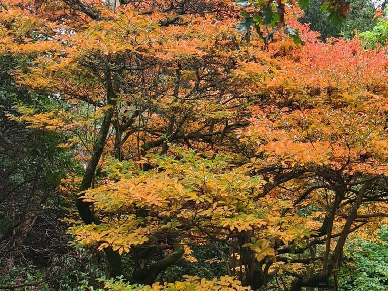 Sheffield Park Routes for Walking and Hiking | Komoot