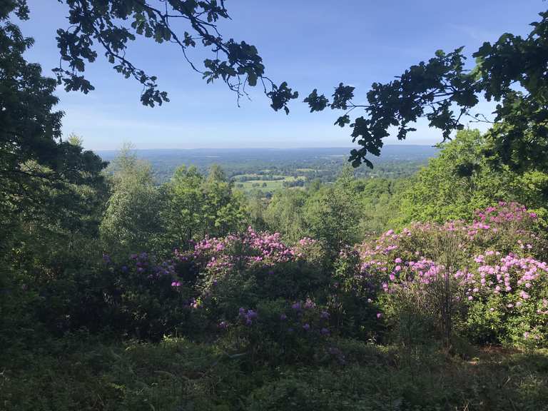 Holmbury Hill Viewpoint – Hiking & Cycling Routes | Komoot
