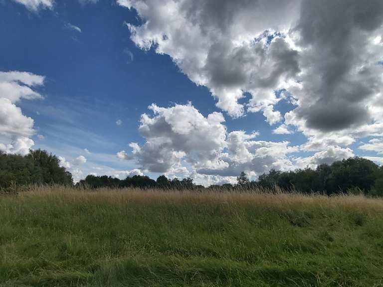 Woodgate valley country park Cycle Routes and Map | Komoot