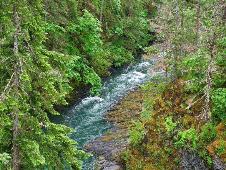 Kinsol Trestle – Cowichan Valley Trail loop from Shawnigan Lake | bike ...